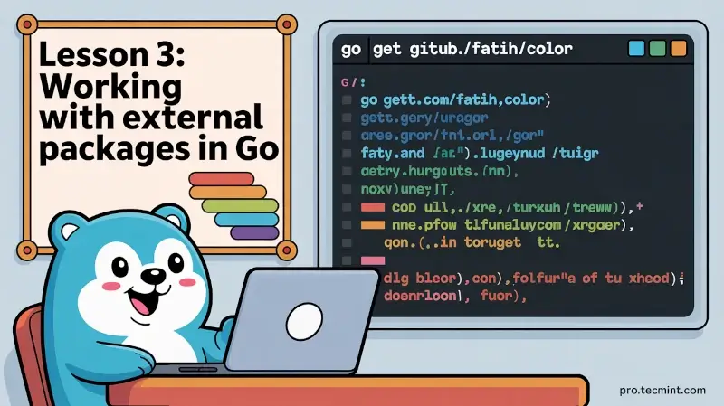 Lesson 3: Working with External Packages in Go