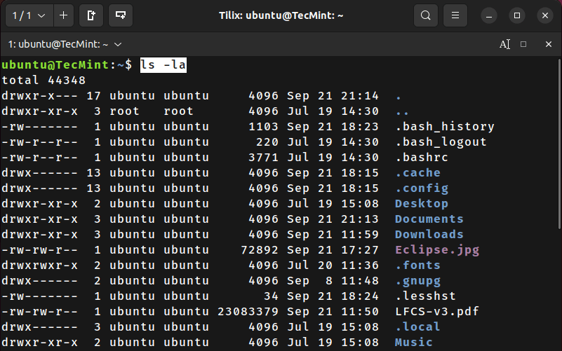 20 Useful Ls Command Examples In Linux 3103